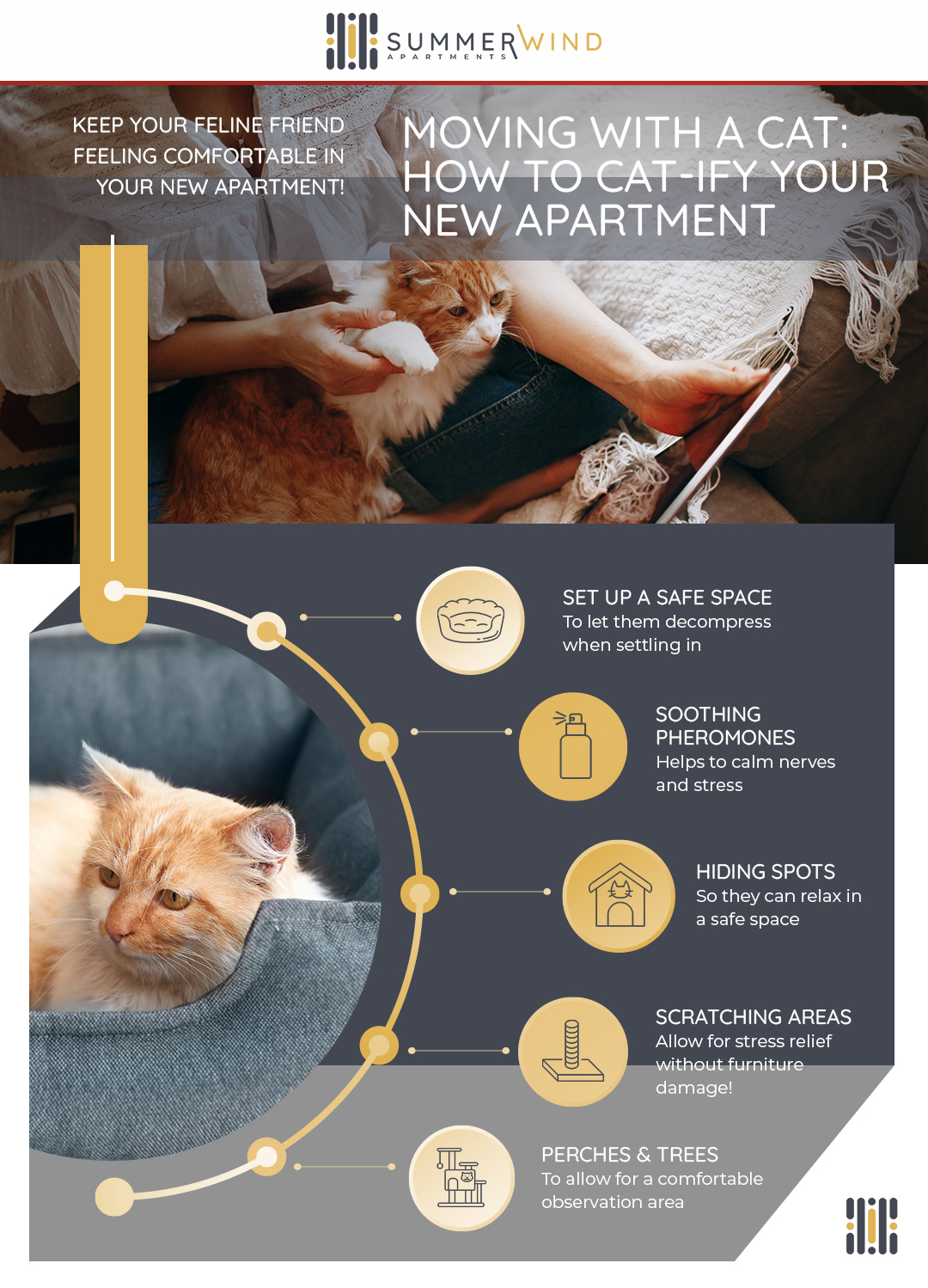 Moving With a Cat: How to Cat-ify Your New Apartment - Summerwind ...