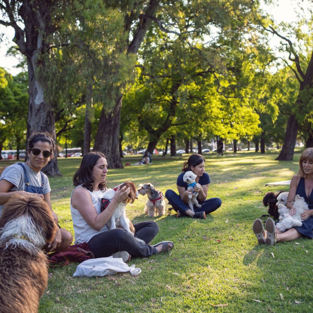 Tips on How to Get to Know Your New Neighbors - Read Now